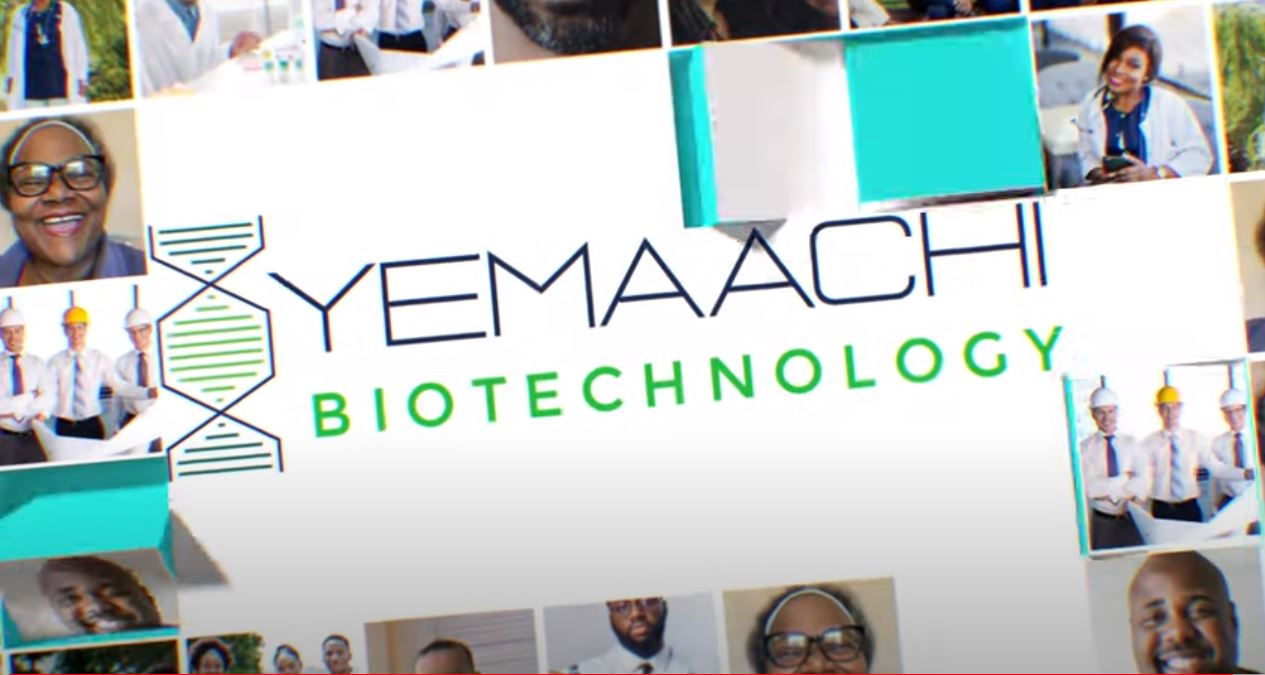 Yemaachi Biotechnology Selected for 2021 Y Combinator Summer Cohorts